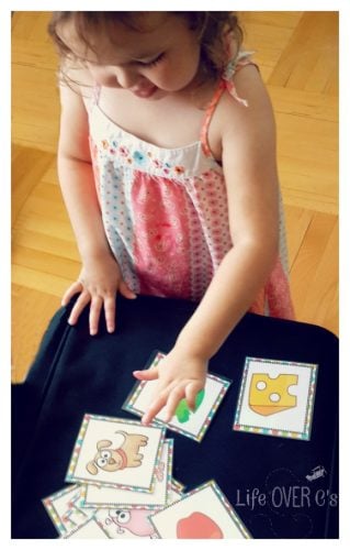 Free Printable Color Recognition Activity Pack