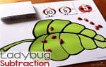 Free Printable Ladybug Subtraction Activity for Kids