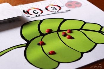 Free Printable Ladybug Subtraction Activity for Kids
