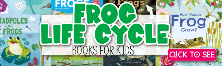 Free Printable Frog Life Cycle Mini Book - Life Over C's