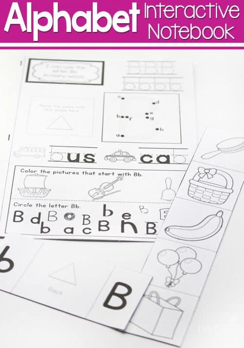 Printable Alphabet Interactive Mini-Notebooks - Life Over C's