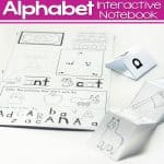 Printable Alphabet Interactive Notebook - Life Over C's