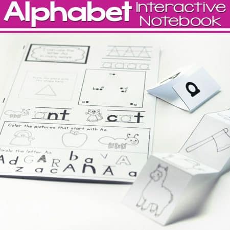 Printable Alphabet Interactive Notebook - Life Over C's