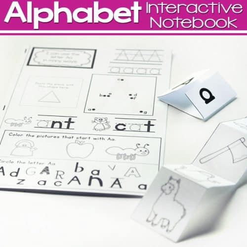 Printable Alphabet Interactive Mini-Notebooks - Life Over C's