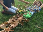 Easy Fall Math: Exploring Measurement with Leaves