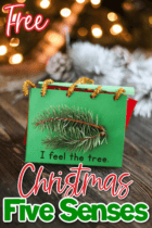 My Christmas Five Senses Book: Free Printable - Life Over C's