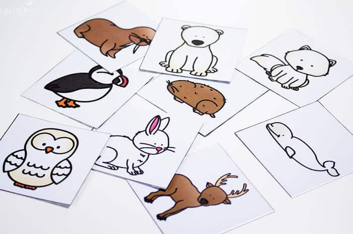 Arctic Animal Matching Games