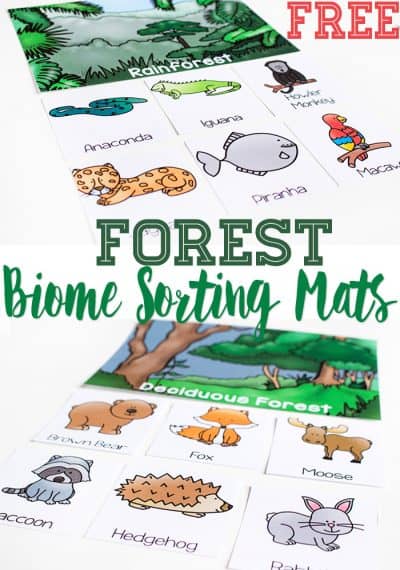 Free Printable Biome Sorting Mats For Forest Animals
