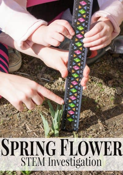 Spring Flower STEM Investigation for Preschoolers