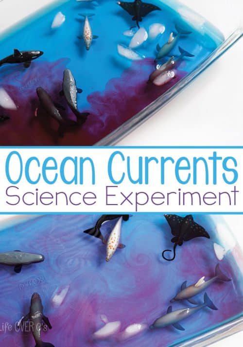 Easy Ocean Currents Science Experiment for Kids