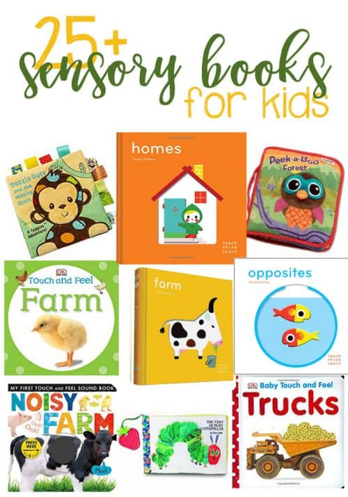 25+ Fun Sensory Books for Kids - Life Over C's