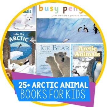 25+ Best Arctic Animal Books for Kids - Life Over C's