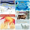 25+ Arctic Animal Books for Kids - Life Over C's
