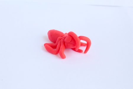 Fun Ant Life Cycle Activity with Play Dough