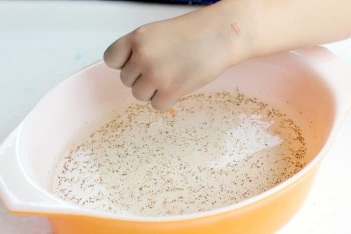 Magic Pepper Experiment: Simple Science for Kids