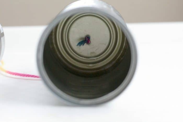 Tin Can Telephone: Easy Sound Wave Science Experiment