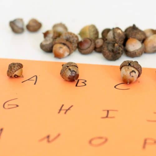 Easy Acorn Alphabet Matching Activity for Kids