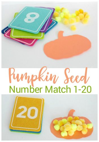 Pumpkin Number Match - Life Over C's