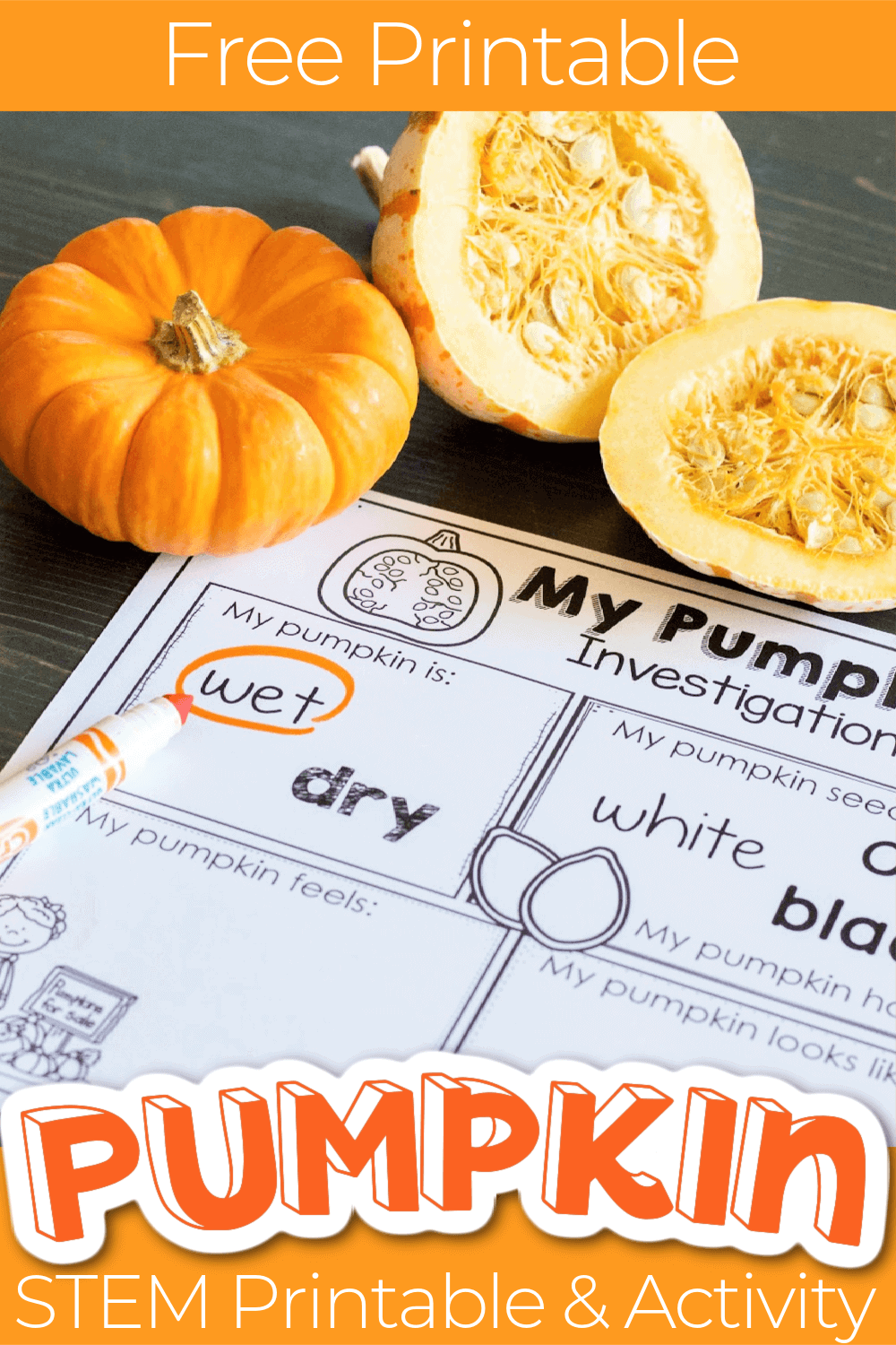 Pumpkin STEM Activity for Preschoolers- Free Printables