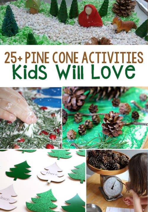 Fun, Hands-On Pine Cone Activities For Kids - Life Over C's