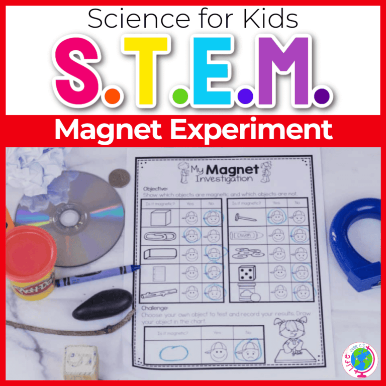 Preschool Magnet Activity & STEM Investigation Printable