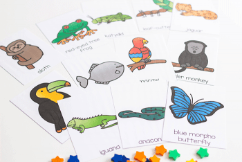 Free Printable Rainforest Animal Bingo Game