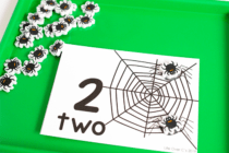 Spider Web Counting Cards For Preschoolers For Math Centers