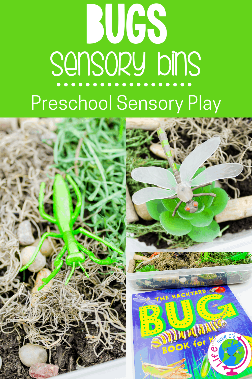 Bug Sensory Bin Activity for Preschoolers - Life Over C's