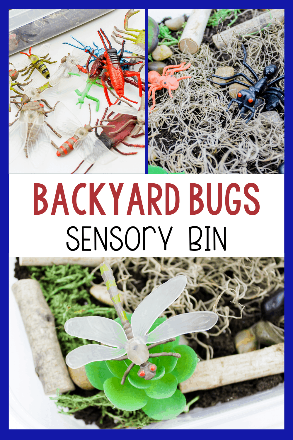 Bug Sensory Bin Activity for Preschoolers - Life Over C's