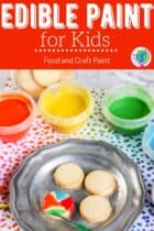 Easy DIY Edible Paint for Cookies - Life Over C's