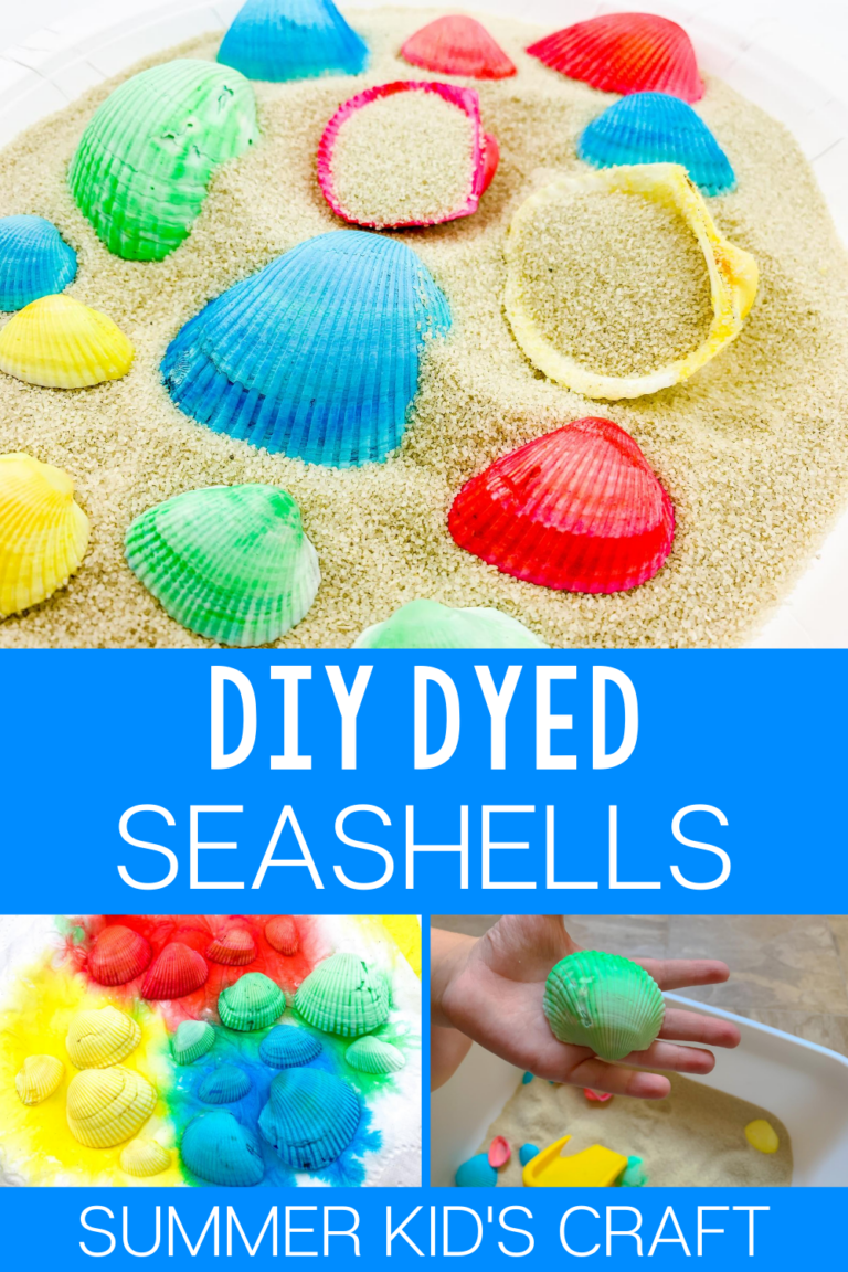 Dyed Seashells Summer Sensory Bin Ideas for Preschoolers - Life Over C's
