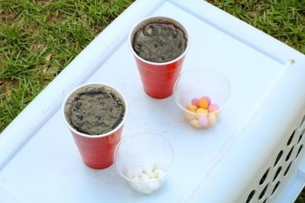 Soda and Mentos Easy Science Experiment for Kids