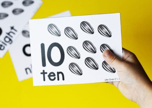 Super Fun Sunflower Seed Counting Cards For Numbers 1-10
