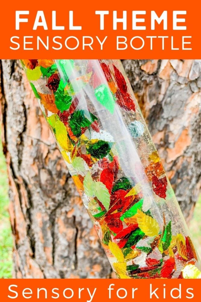 Easy Homemade Fall Sensory Bottle for Preschool