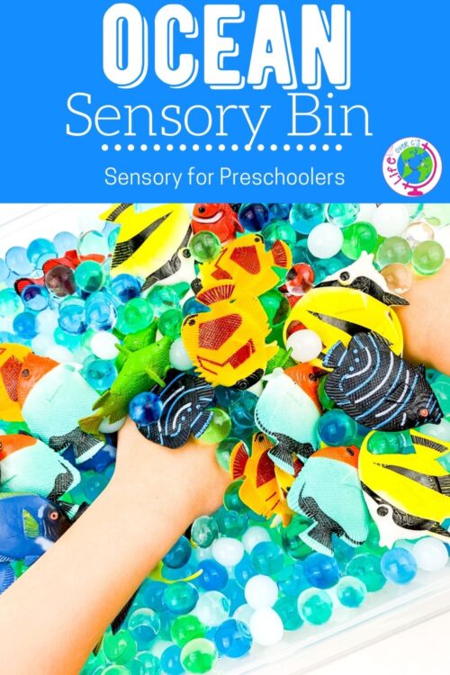 Easy Fish in the Ocean Sensory Bin for Preschoolers