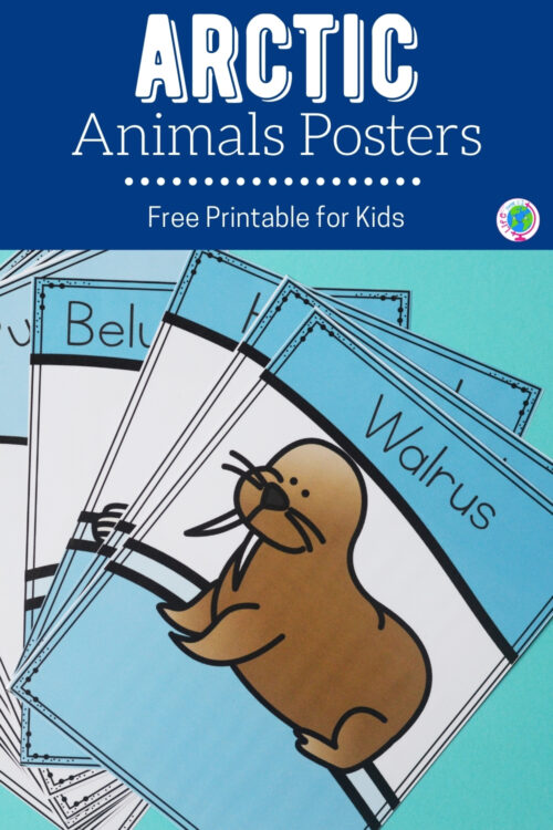 Free Printable Posters for Arctic Animals Preschool Theme