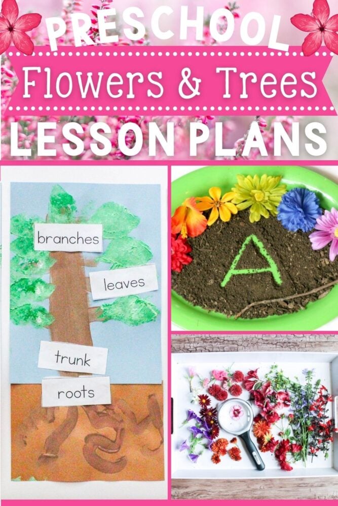 20 Fun Flower and Tree Theme Preschool Lesson Plans
