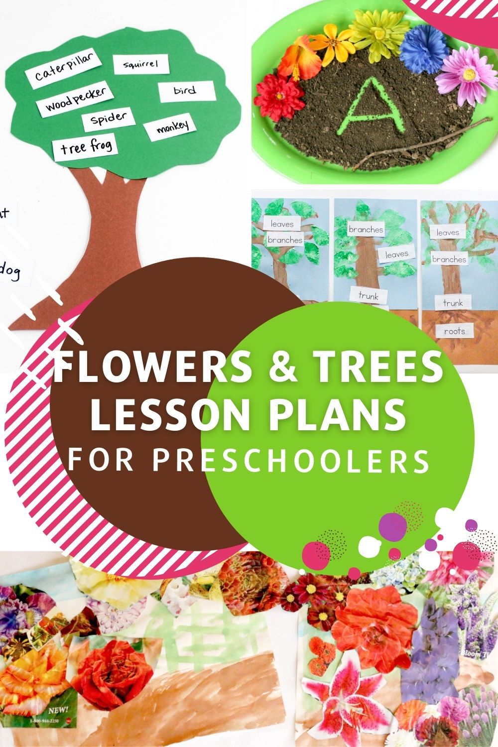 20 Fun Flower and Tree Theme Preschool Lesson Plans