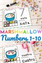 Marshmallow Counting Mats for Preschool Numbers 1-10 - Life Over C's