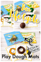 Free Printable Life Cycle of a Bee Play Dough Mats for Kids