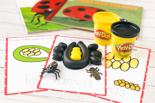 Free Printable Life Cycle of a Bee Play Dough Mats for Kids