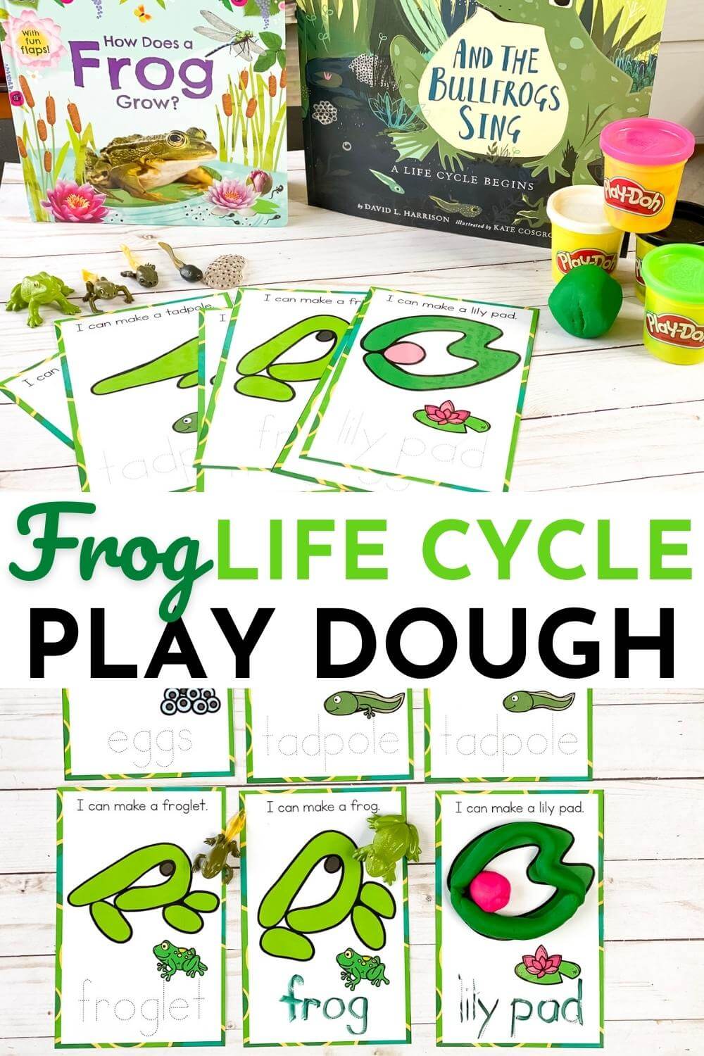 Free Printable Life Cycle of a Frog Play Dough Mats