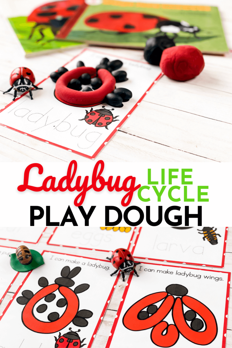 Free Printable Life Cycle of a Ladybug Play Dough Mats