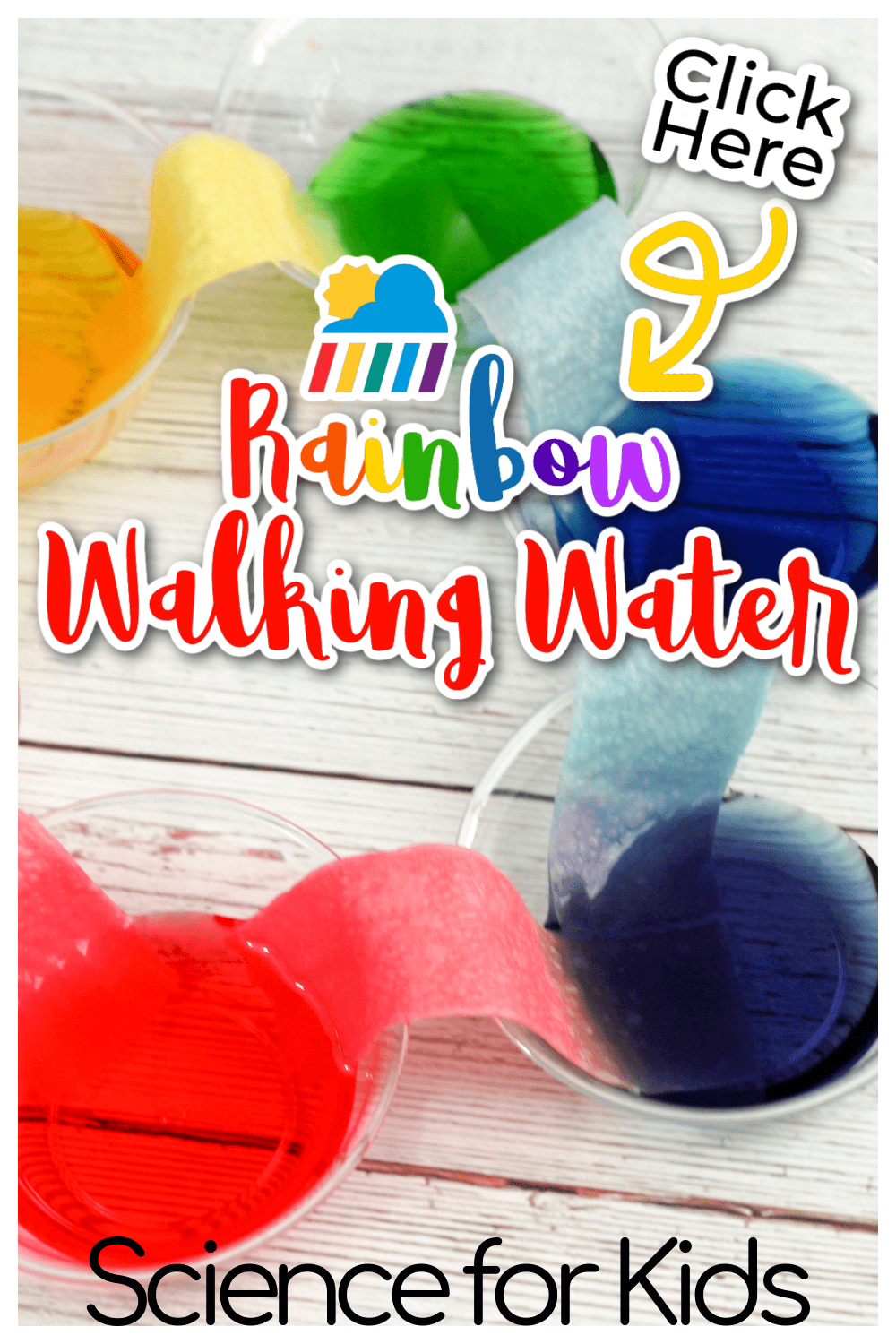 Rainbow Walking Water Science Experiment for Kids 🌈