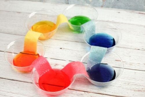 Rainbow Walking Water Science Experiment for Kids