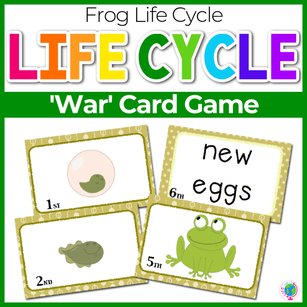 20+ Exciting Life Cycle Activities for Kids