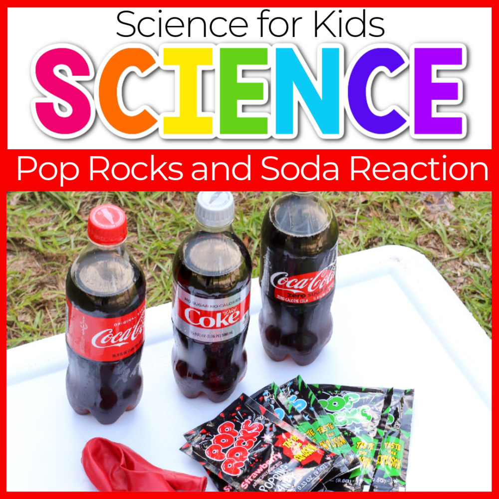 Easy Sink or Float Science Experiment for Preschool