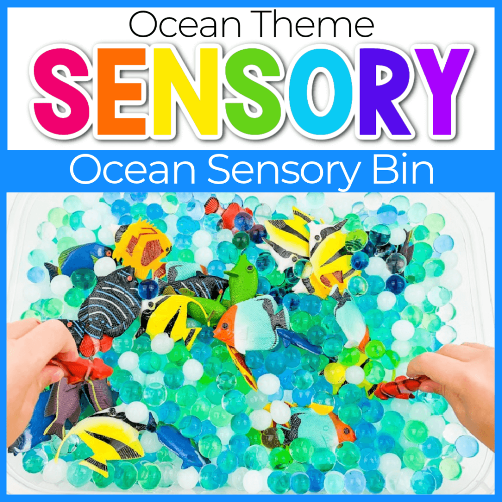 25+ Sensory Bin Supplies and Tools Your Kids Will Love