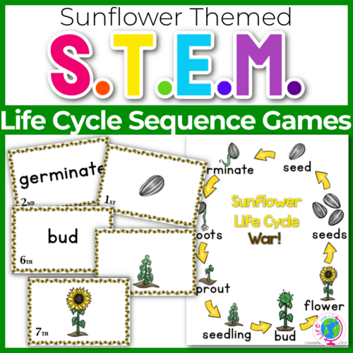 Sunflower Life Cycle Sequencing Card Game - Life Over C's