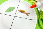 Paper Plate Life Cycle of a Butterfly Activity for Kids